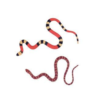 Mega Stretch! Snake - Yellow Springs Toy Company